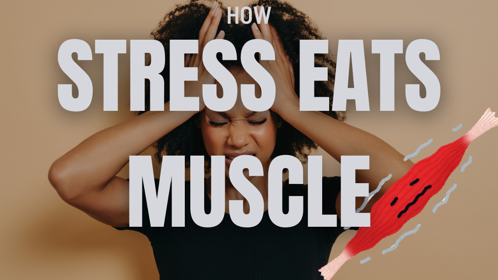 How Stress Hormones Eat Your Hard Earned Muscle! - Functional Strength ...